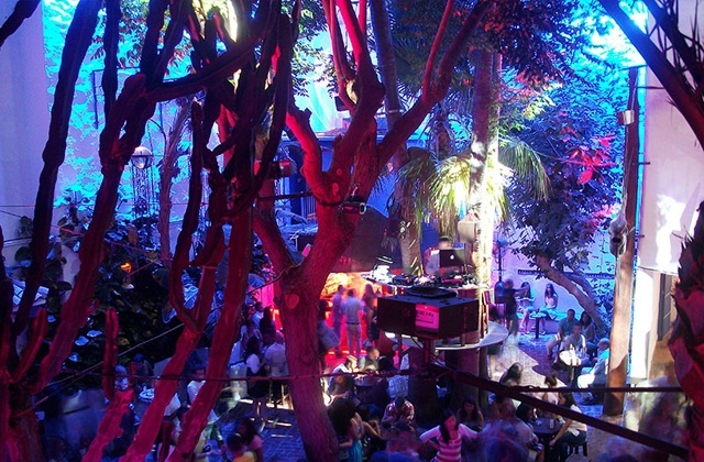 Fiestas en el Pueblo de Conil de la Frontera y El Palmar